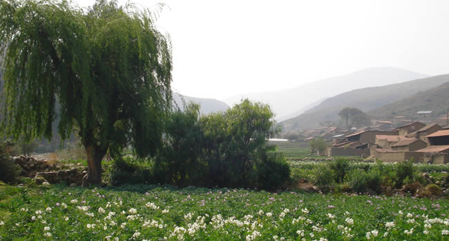 ARANI. COCHABAMBA, Bolivia. Guía de Turismo de Bolivia ...
